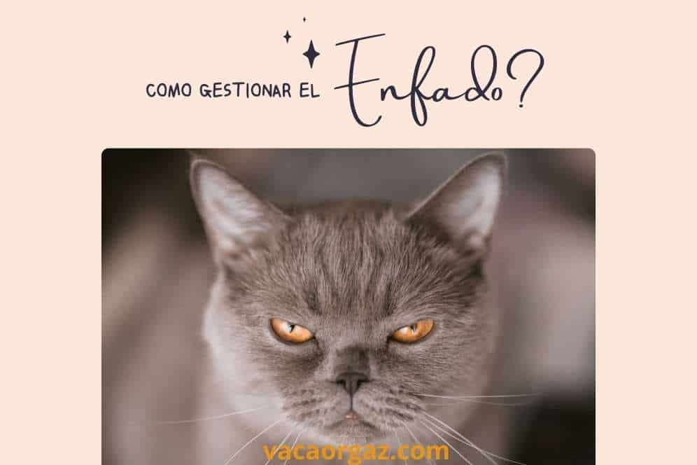 Cómo gestionar el enfado, psicologo madrid manejo de las emociones